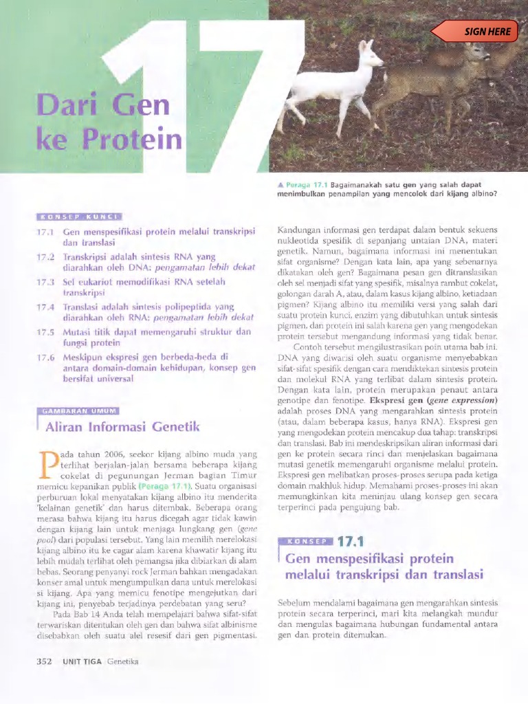 GEN MENSPESIFIKASI PROTEIN | PDF