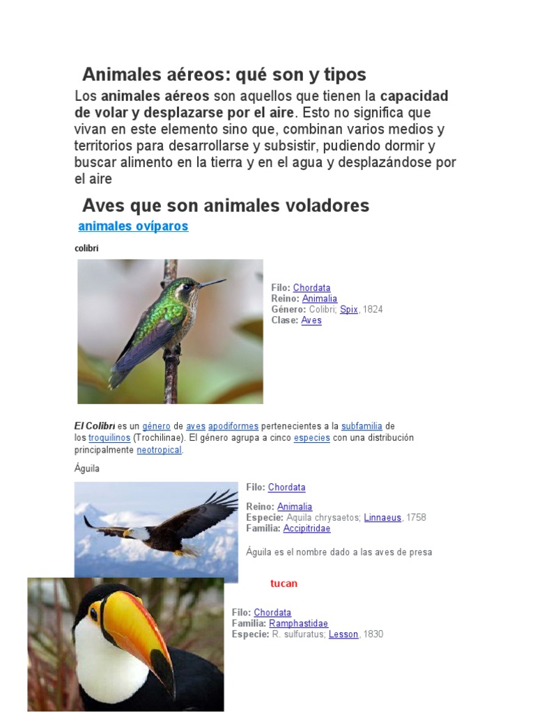 Animales Aéreos: Tipos y Características | PDF | Taxa | Organismos