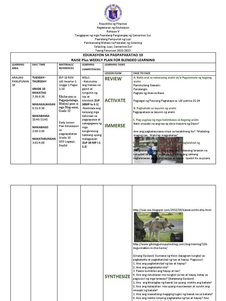 Raise Plus Esp10 Q1 Week 1 | PDF