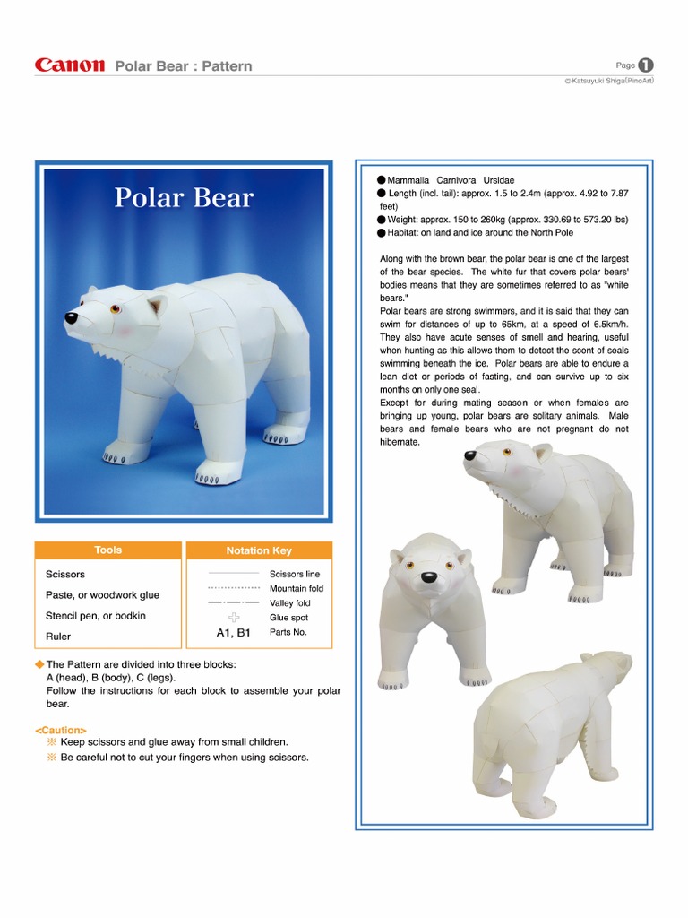 Oso Polar Papercraft | PDF