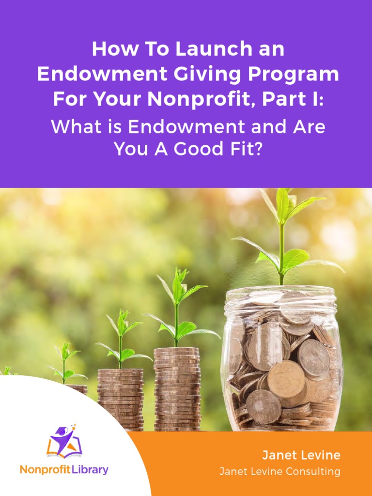 How To Launch An Endowment Giving Program For Your Nonprofit, Part I ...