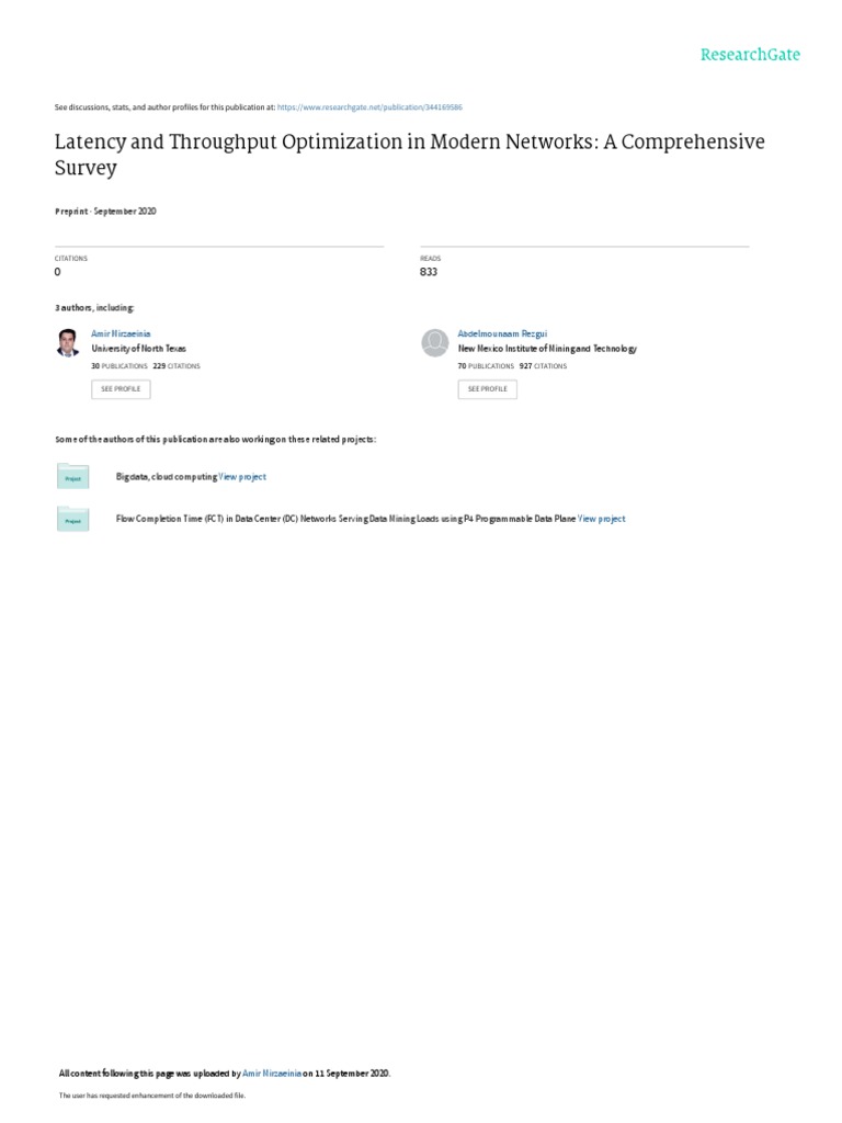 Latency and Throughput Optimization in Modern Networks: A Comprehensive ...