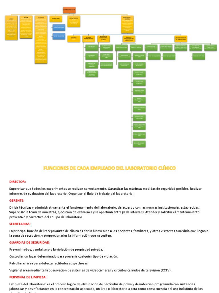 Organigrama Laboratorio | PDF | Laboratorios | Especialidades Medicas