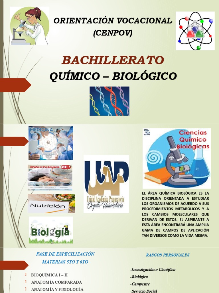 Bachillerato Químico - Biológico | PDF | Dietético | Ciencias de la Salud