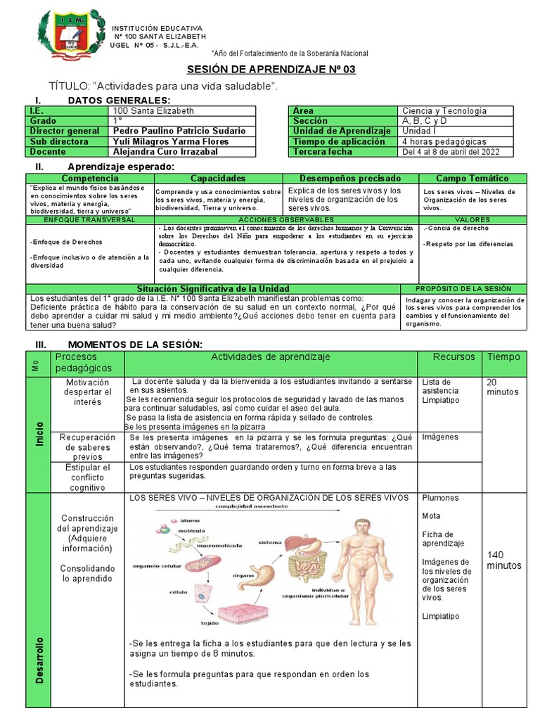 SESIÓN 03 Seres Vivos CyT | PDF | Aprendizaje | Maestros