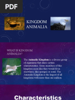 Kingdom Animalia - Phylum Summary Table | PDF | Gill | Zoology