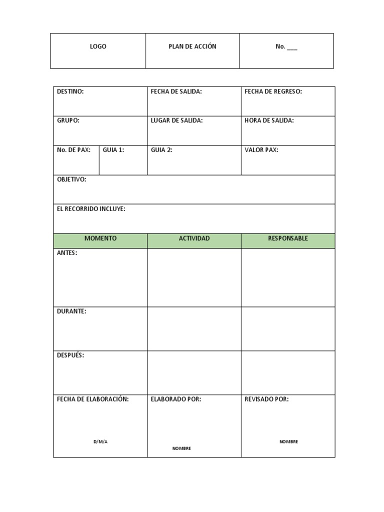 Formato Plan de Acción | PDF