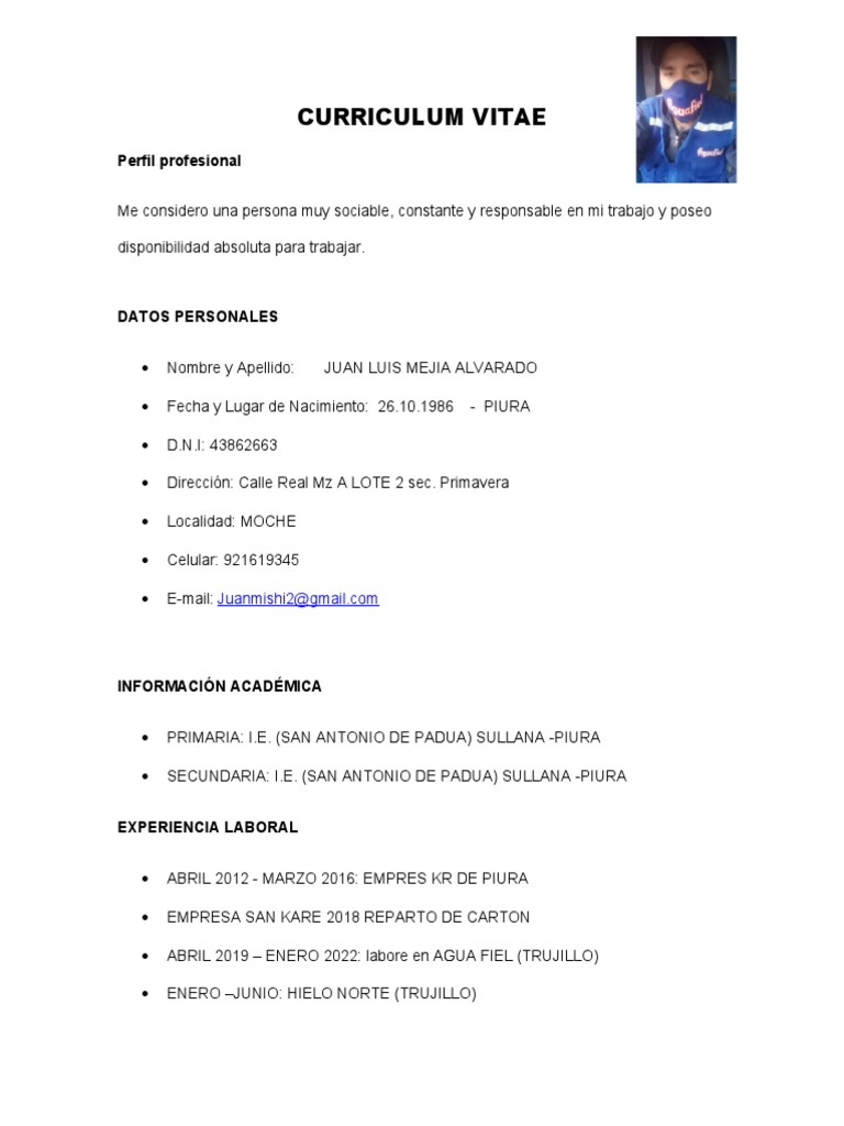Curriculum Vitae Juan Luis | PDF