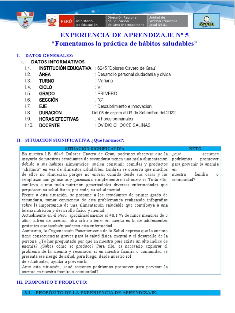 Experiencia de Aprendizaje 5 Dpcc. 1° | PDF | Evaluación | Aprendizaje