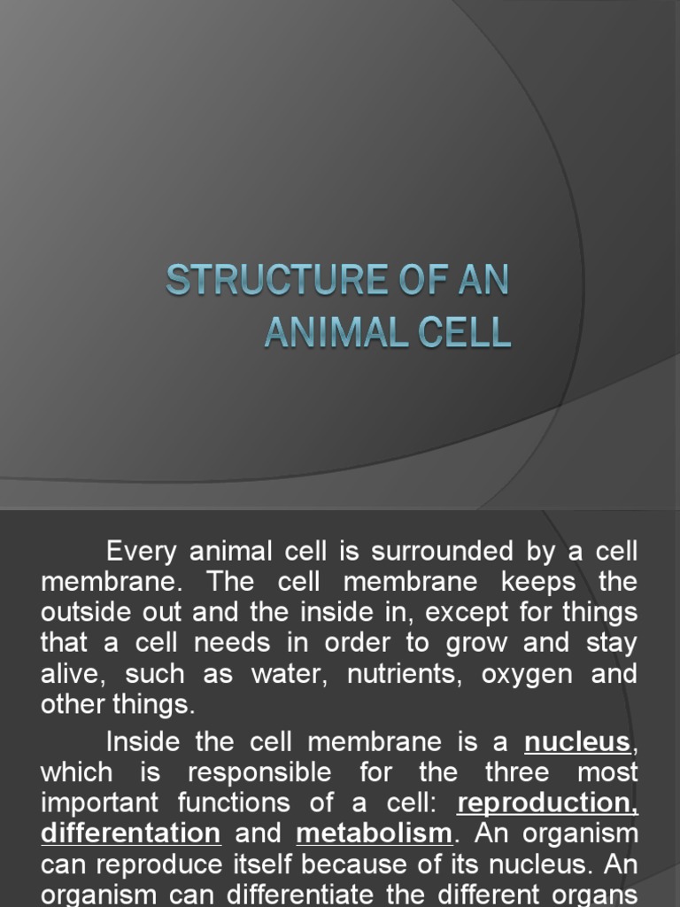 Structure of An ANIMAL CELL | PDF | Cell (Biology) | Cytoplasm
