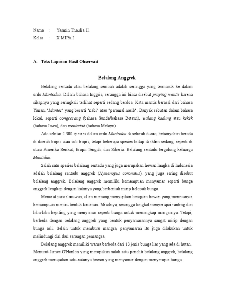 Belalang Anggrek | PDF