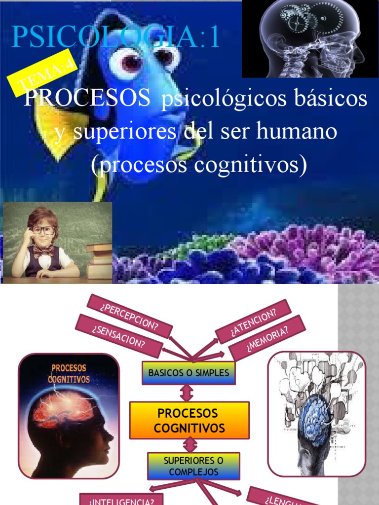 TEMA 4. PSIC1 Procesos Psicologicos Basicos y Superiores | PDF | Percepción | Memoria