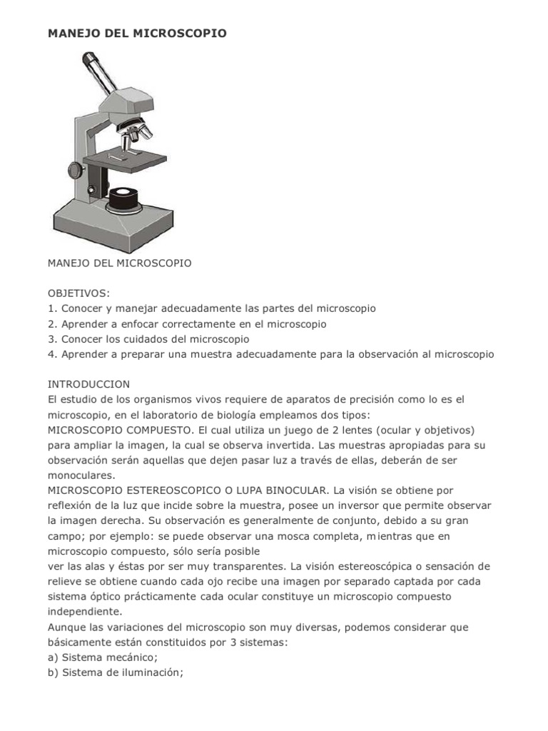 Hoja De Trabajo Sobre El Uso Del Microscopio