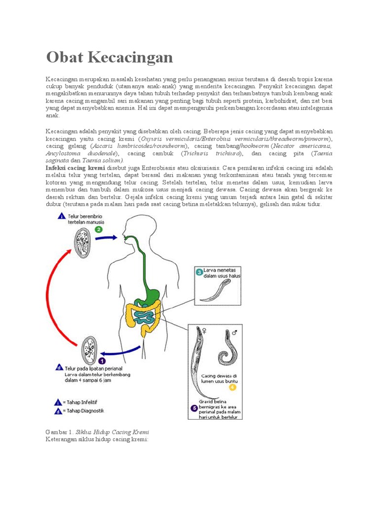 Panduan Lengkap Obat Kecacingan | PDF