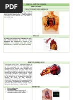 Tecnica Quirúrgica Hernioplastía Inguinal 1 | PDF