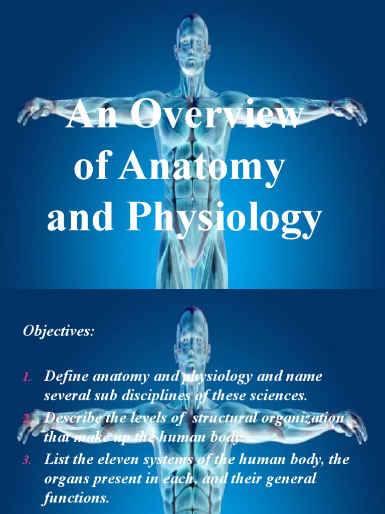 Anatomy & Physiology Overview | PDF | Human Body | Tissue (Biology)