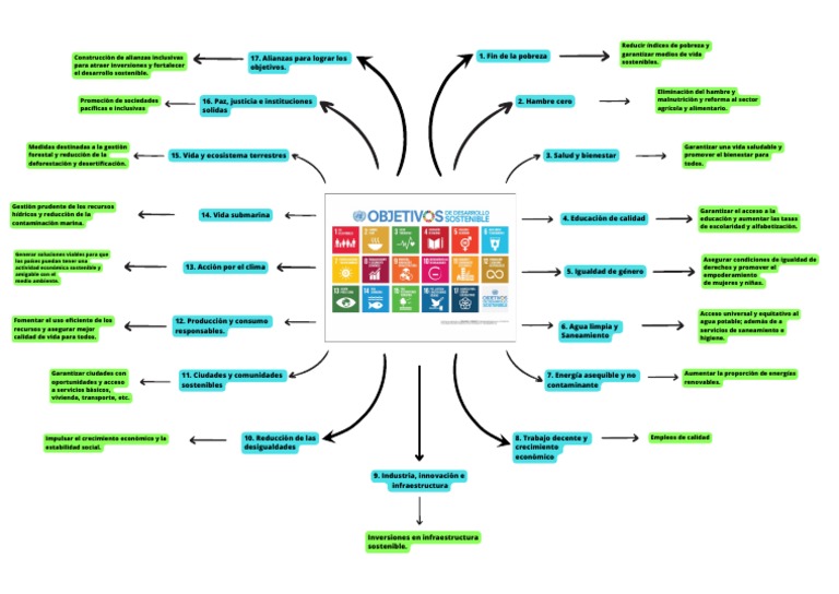17 Objetivos de Las Naciones Unidas | PDF | Igualdad de género | Estudios de género