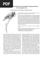 UK Gull Identification Guide | PDF | Gull | Birds