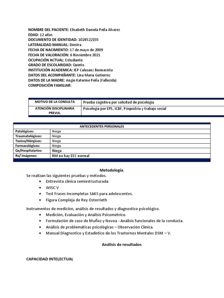 Informe EDPA | PDF | Memoria | Atención