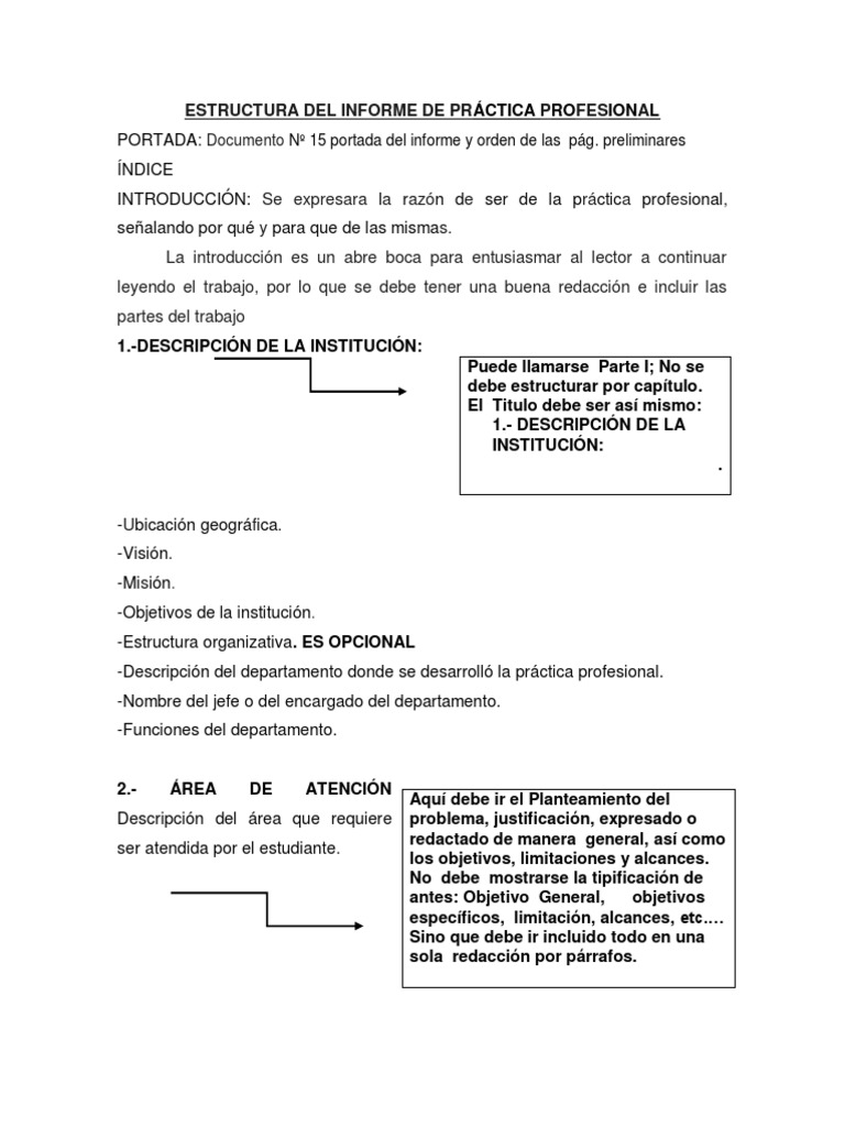 Estructura Del Informe de Práctica Profesional | PDF