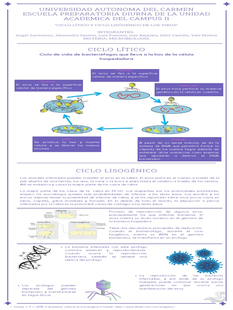 Actividad 2-Microbiologia | PDF | Bacteriófago | Virus