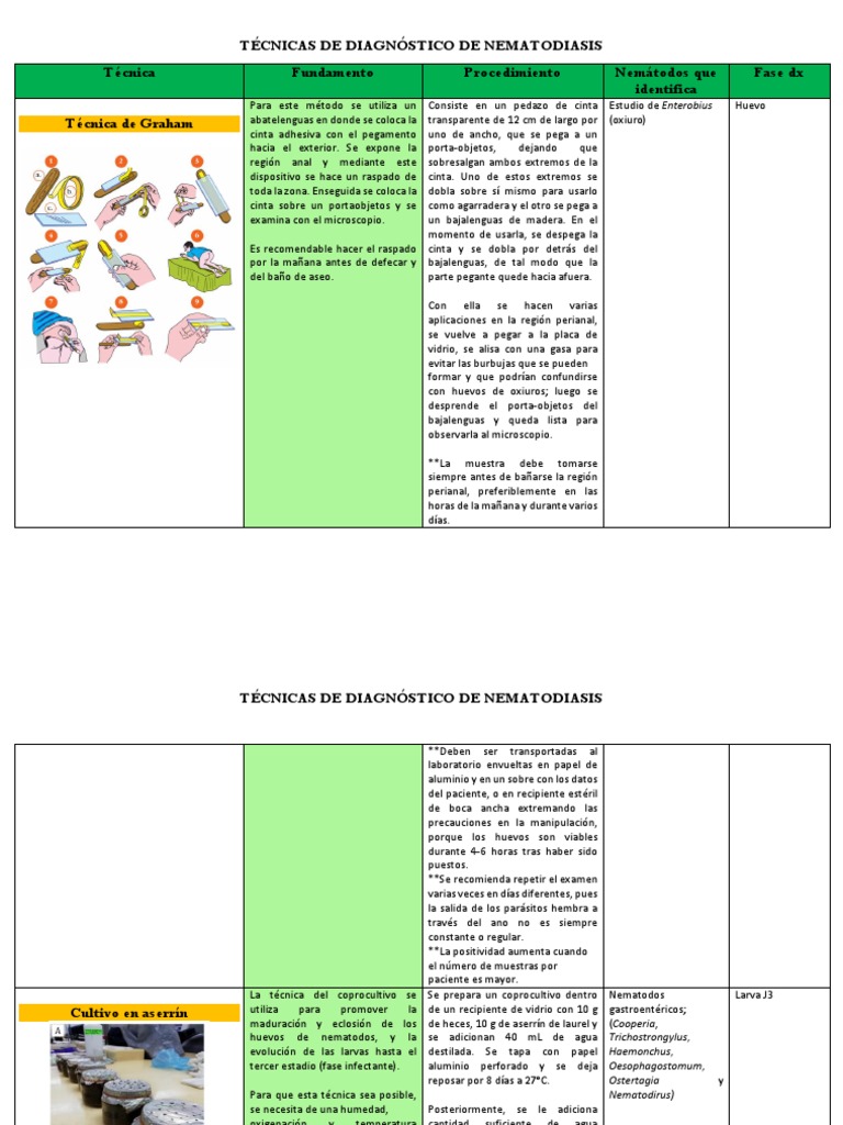 Cuadro de Técnicas de Diagnóstico de Nematodiasis | PDF