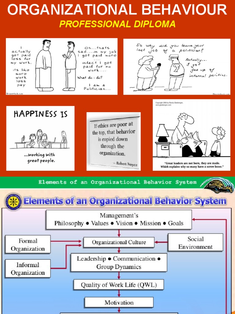 Slides - Organizational Behaviour | PDF | Reinforcement | Leadership