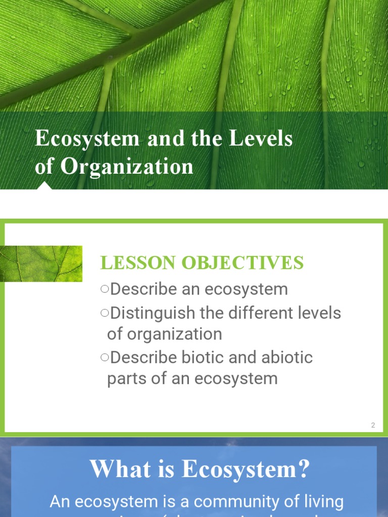3 Ecosystem and The Levels of Organization | PDF | Ecosystem | Soil