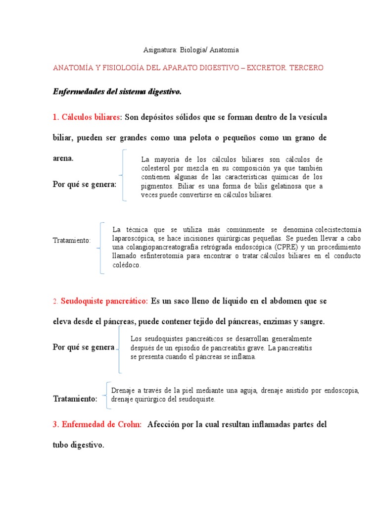 Anatomia y Fisiología Del Aparato Digestivo - Excretor | PDF | Sistema ...