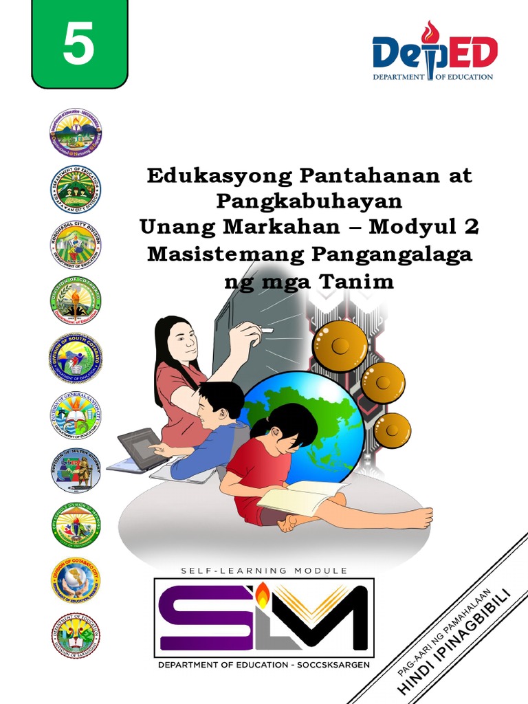 Epp5 - Afa - Module 2 | PDF