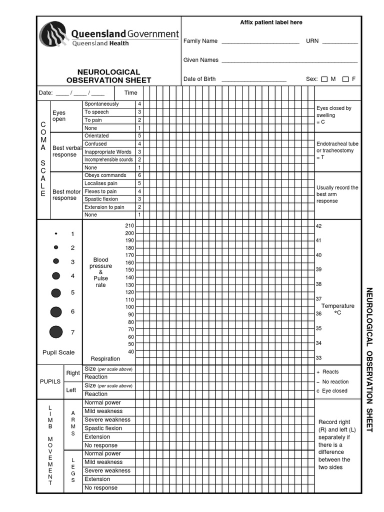 Neuro Observation Sheet | PDF | Pain | Neurology