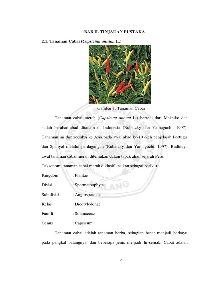 Jiptummpp GDL Ganggaardh 45439 3 Babii | PDF