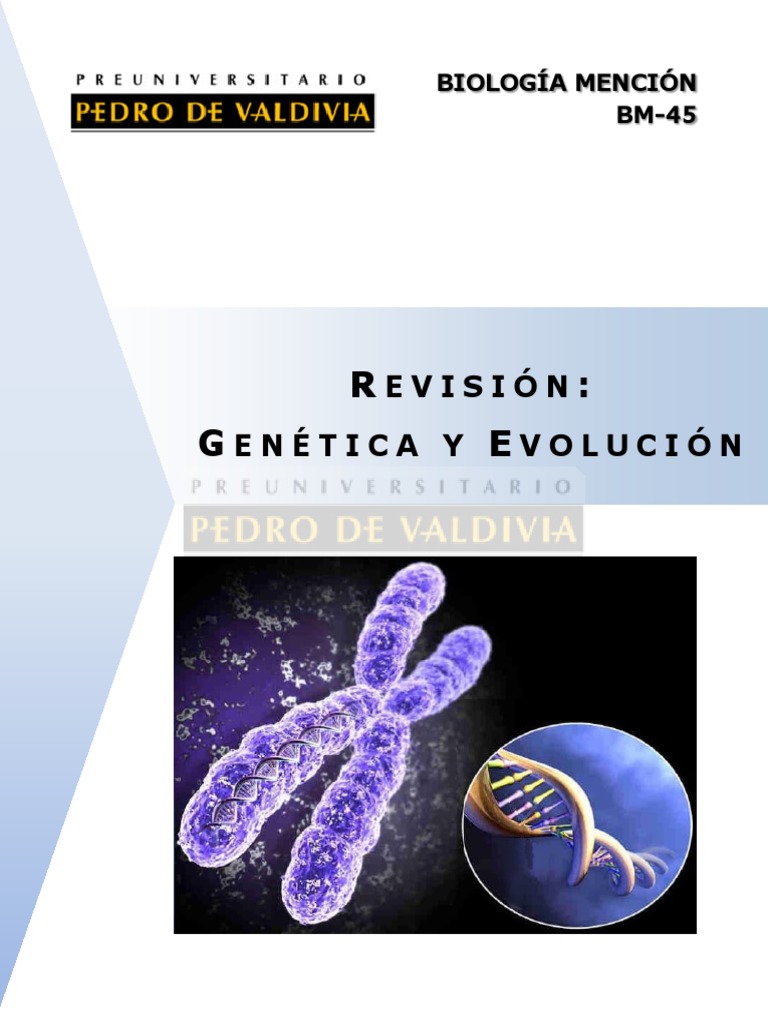 Genética y Evolución: Conceptos Clave | PDF | Dominancia (Genética) | Alelo