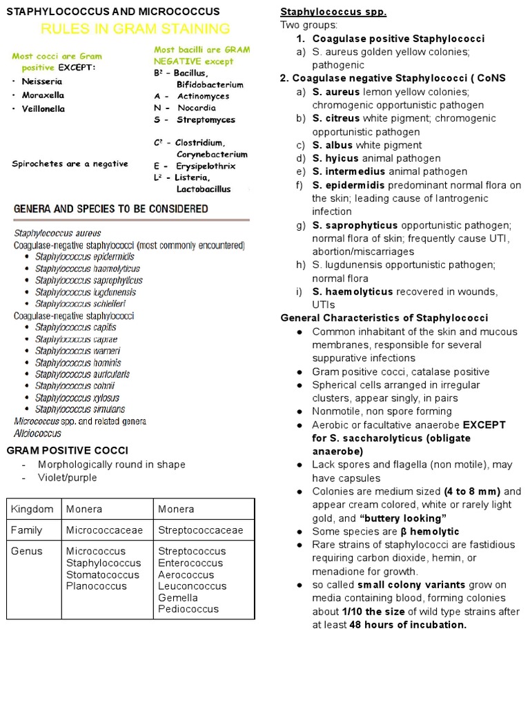 Staphylococcus And Micrococcus Pdf Staphylococcus Staphylococcus Aureus