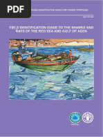 Body Shape of Fishes | PDF | Fin | Fish