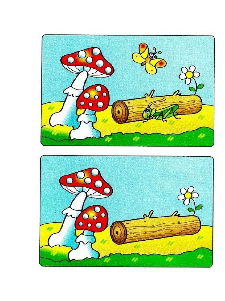 Gaseste Diferenta-Imagini | PDF