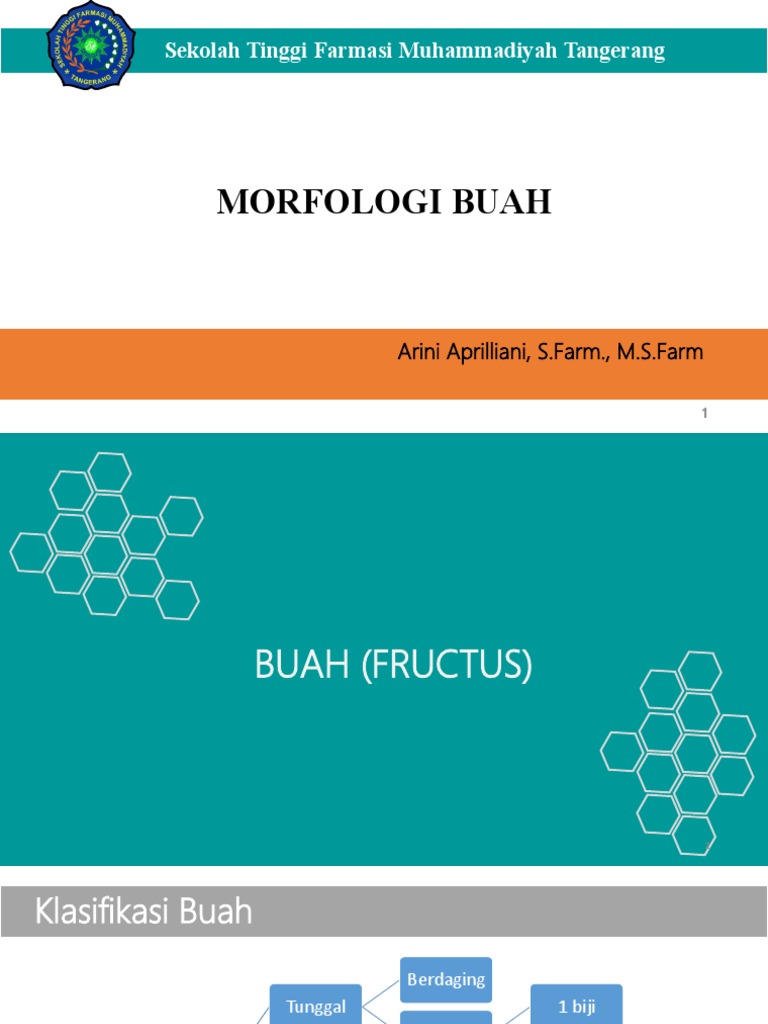 Klasifikasi Buah Sejati dan Semu | PDF