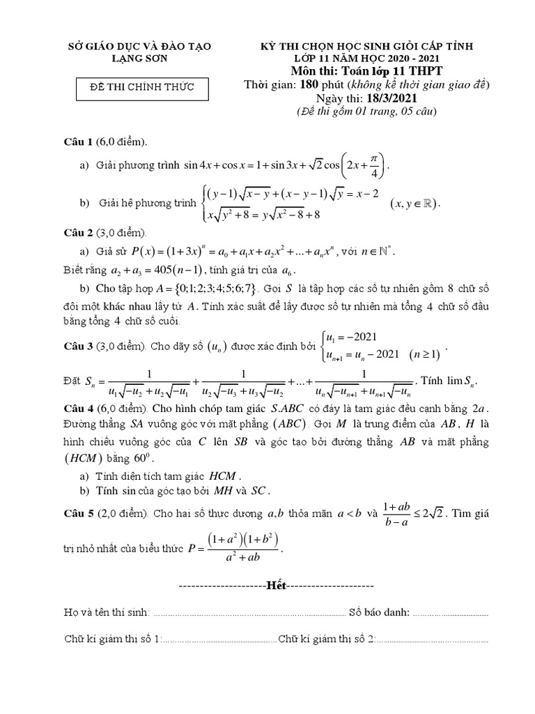 L NG Sơn HSG 11 2020-2021 | PDF