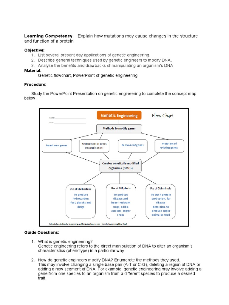 Activity Sheets Genetic Engineering | PDF | Genetic Engineering | Genetics