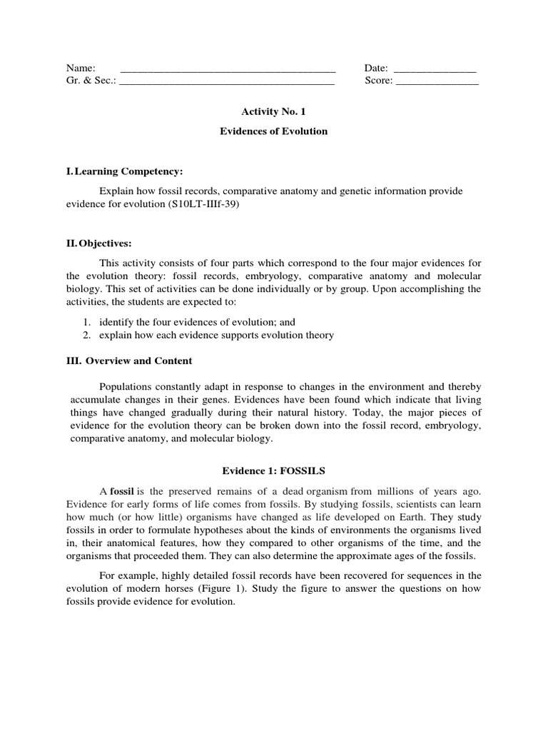 Evidences of Evolution Activity Sheets | PDF | Evolution | Cytochrome C