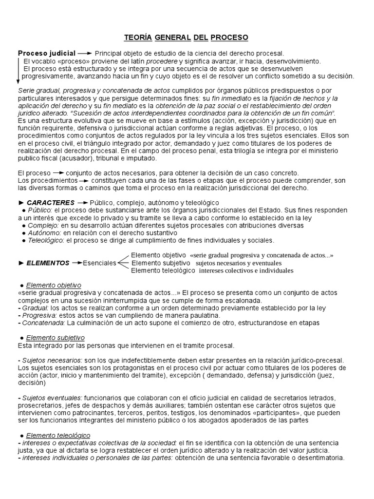 Derecho Procesal - Resumen Efip | PDF | Jurisdicción | Ley procesal