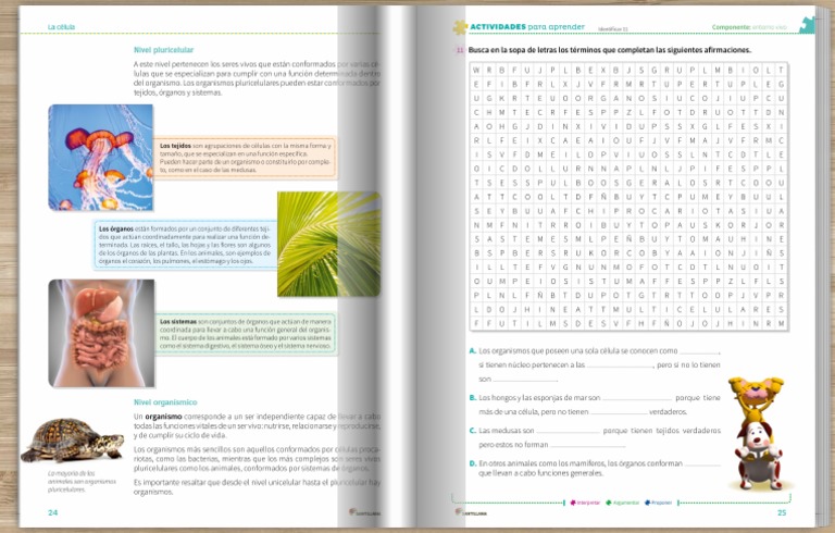 Libro Del Estudiante Vol.1 | PDF