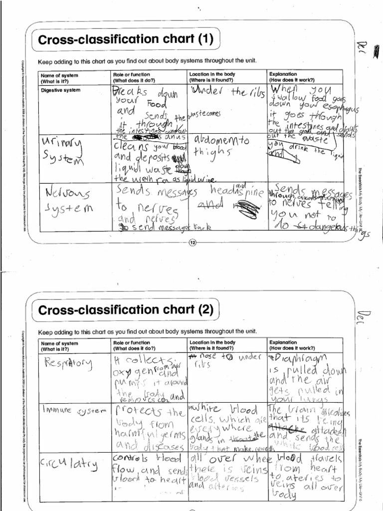 Scy) Dy: Oi - T: Cross-Classification Chart | PDF