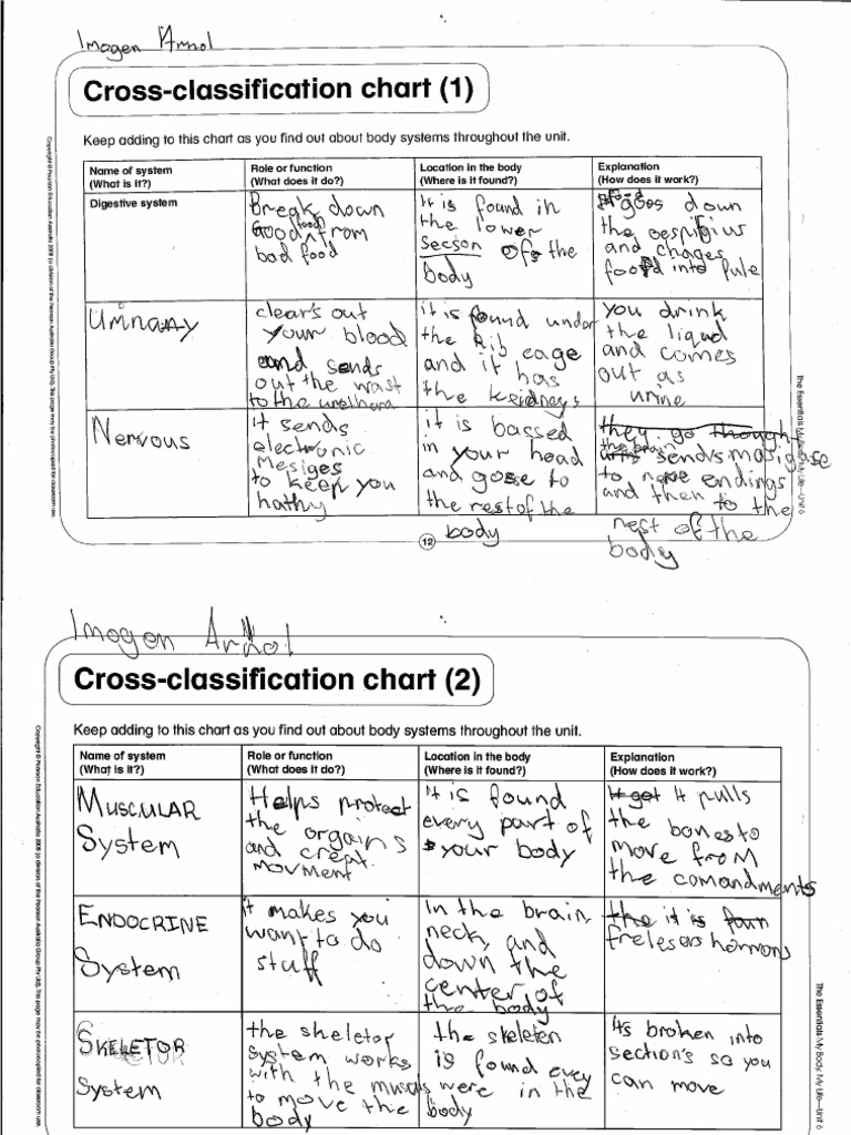 Cross-Classification Chart (1) J: / 099 Rs /AA | PDF