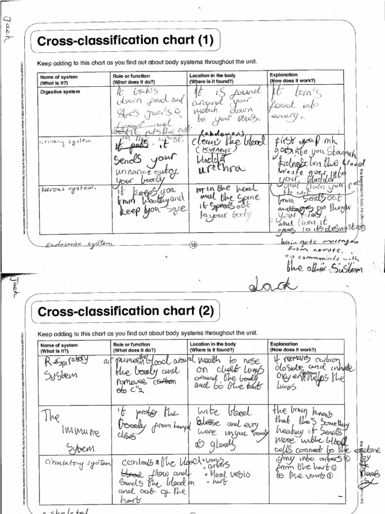 Jack Chart | PDF