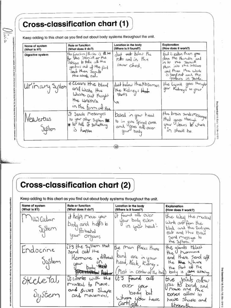Cross-Classification Chart (1) : E.,nc, TC P-Nesar Cs | PDF | Teaching ...