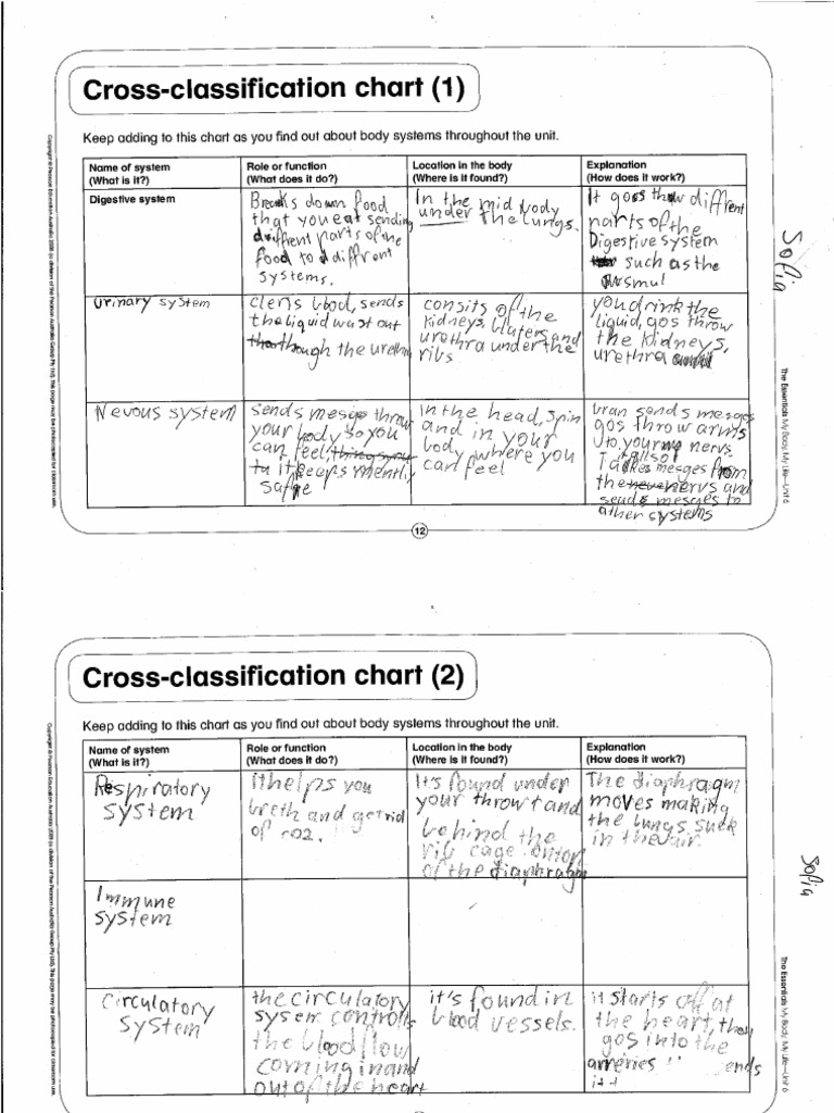 Cross-Classification Chart (1) : Eee L | PDF