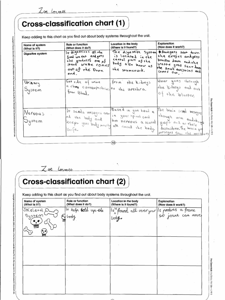Zoe Classification Chart for Body Systems | PDF | Teaching Methods ...