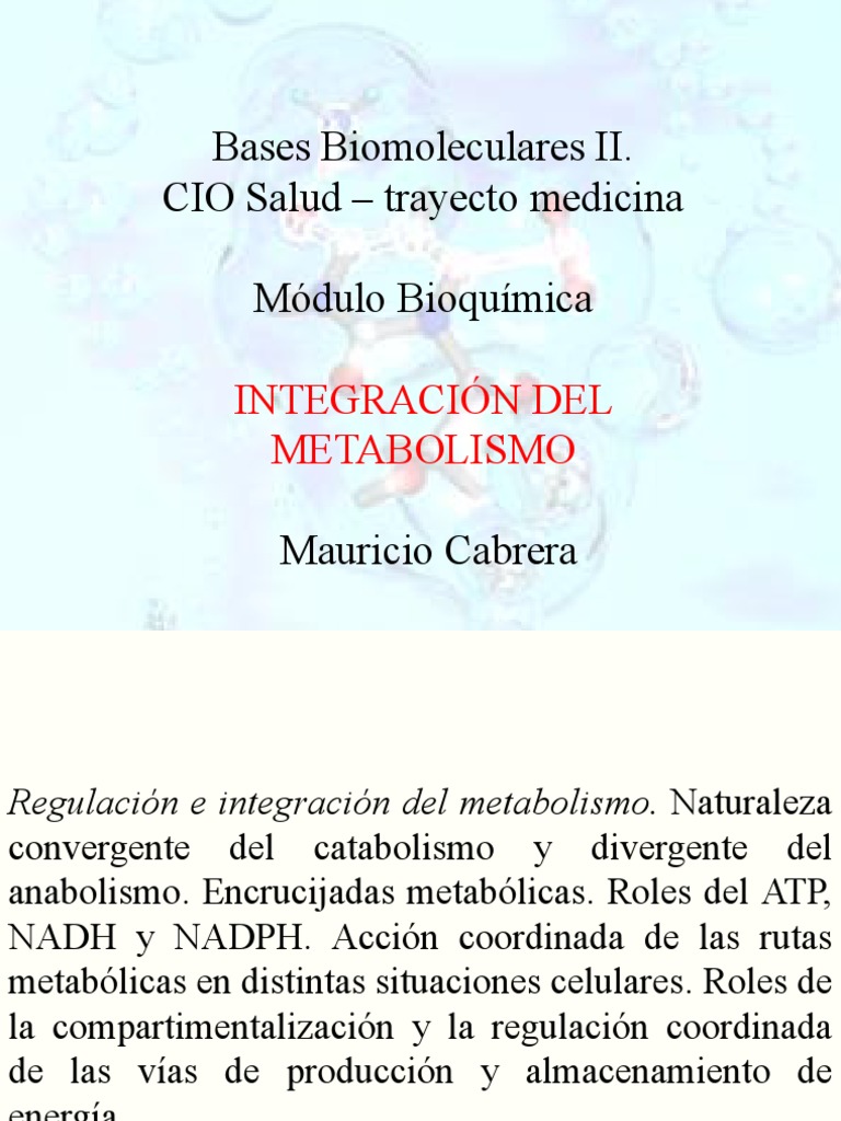 5. Integración Del Metabolismo | PDF | Metabolismo | Glucógeno