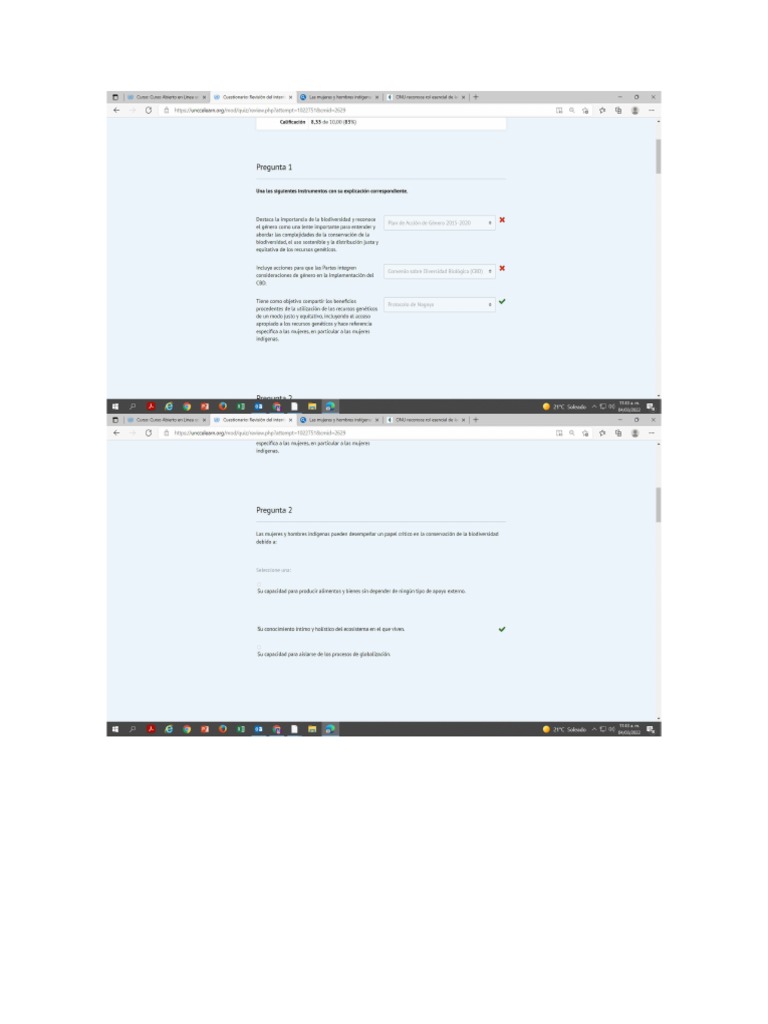 Respuestas Modulo 2 Genero y Medio Ambiente | PDF